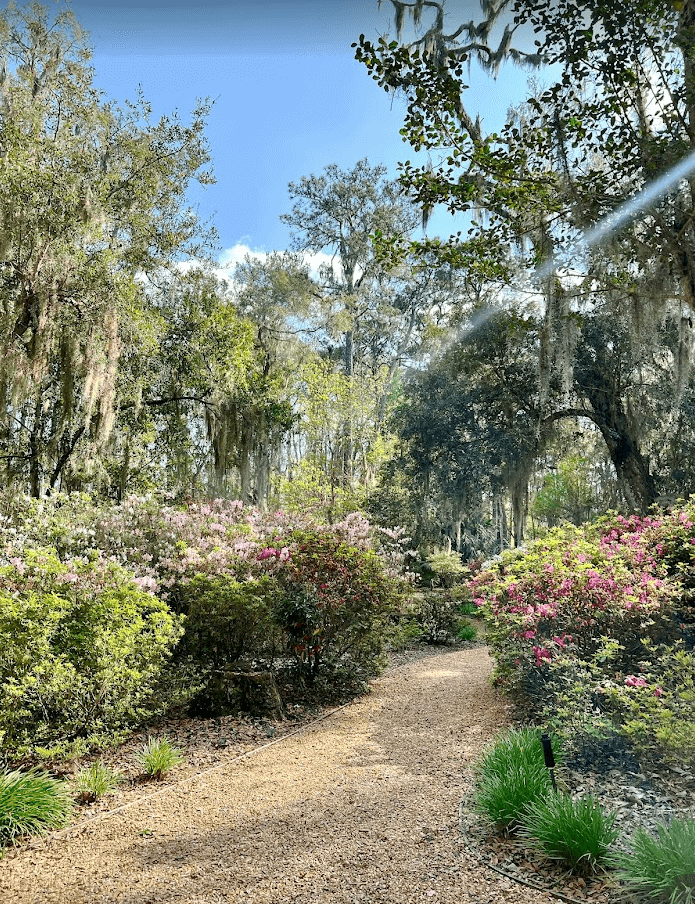 Guide to St. Simons Island Parks - St. SiMoms